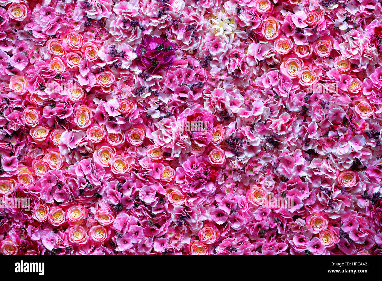 Beautiful flowers wall background Stock Photo - Alamy