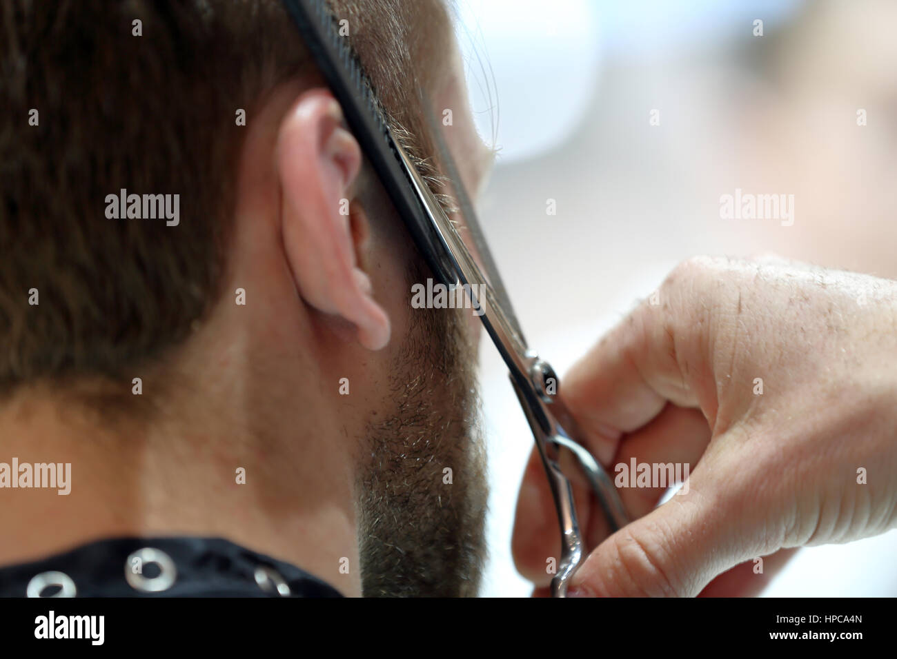 Hairdresser trimming hair with scissors Stock Photo - Alamy