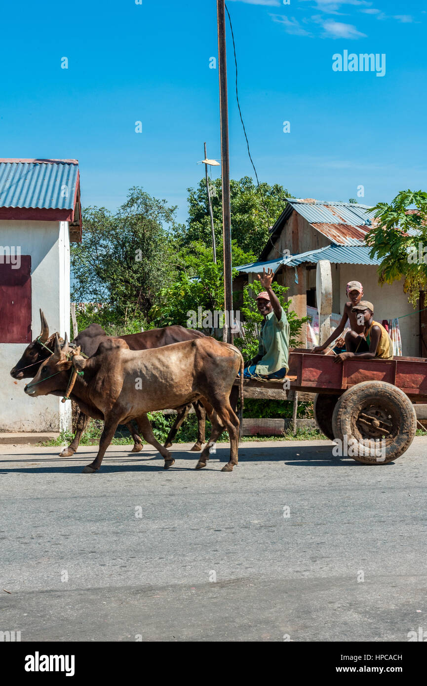 Madagascar, daily life in the rural area - countryside Stock Photo - Alamy