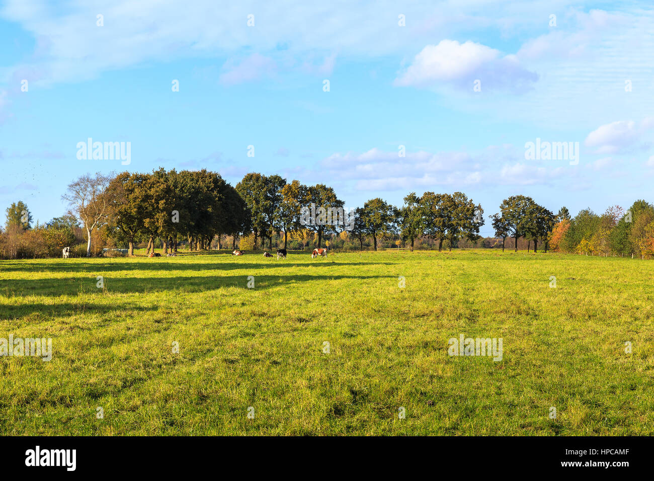 East Frisia or Eastern Friesland is a coastal region in the northwest ...