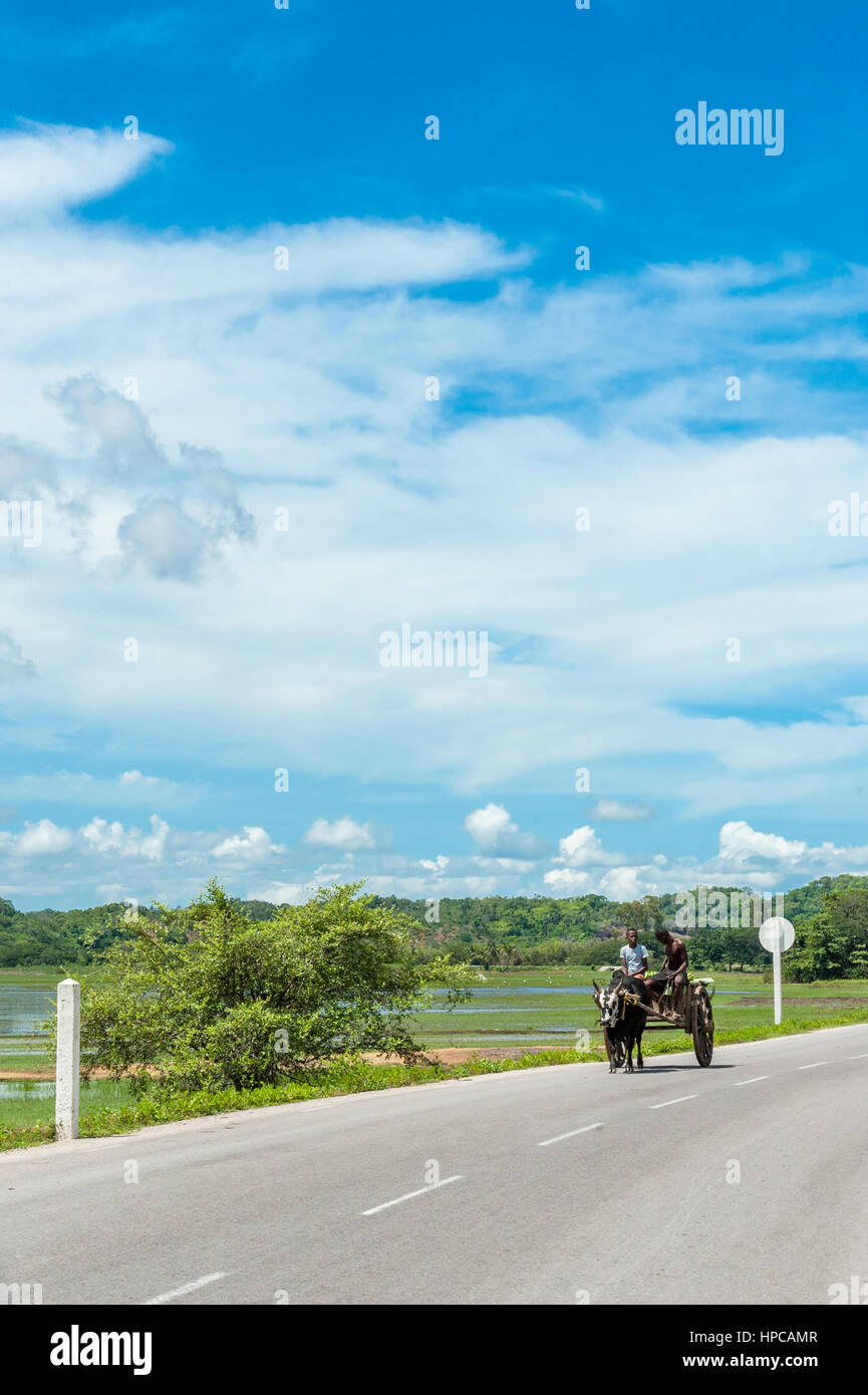Madagascar, daily life in the rural area - countryside Stock Photo - Alamy