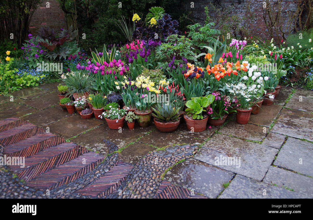 Colourful Great Dixter spring bulb display Stock Photo - Alamy