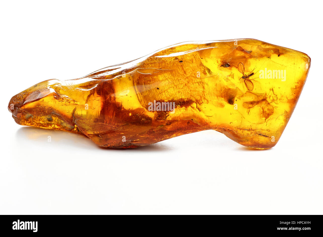 natural North Sea amber isolated on white background Stock Photo - Alamy