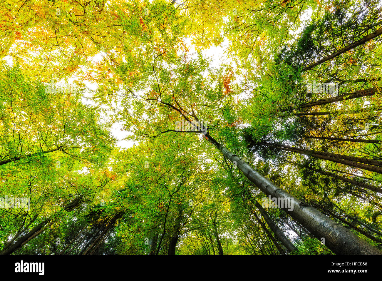 The Harz is the highest mountain range in Northern Germany and its ...