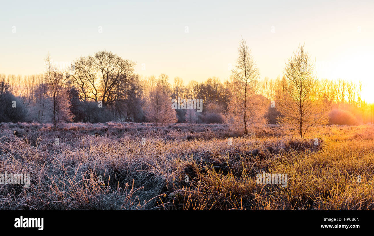 East Frisia or Eastern Friesland is a coastal region in the northwest ...