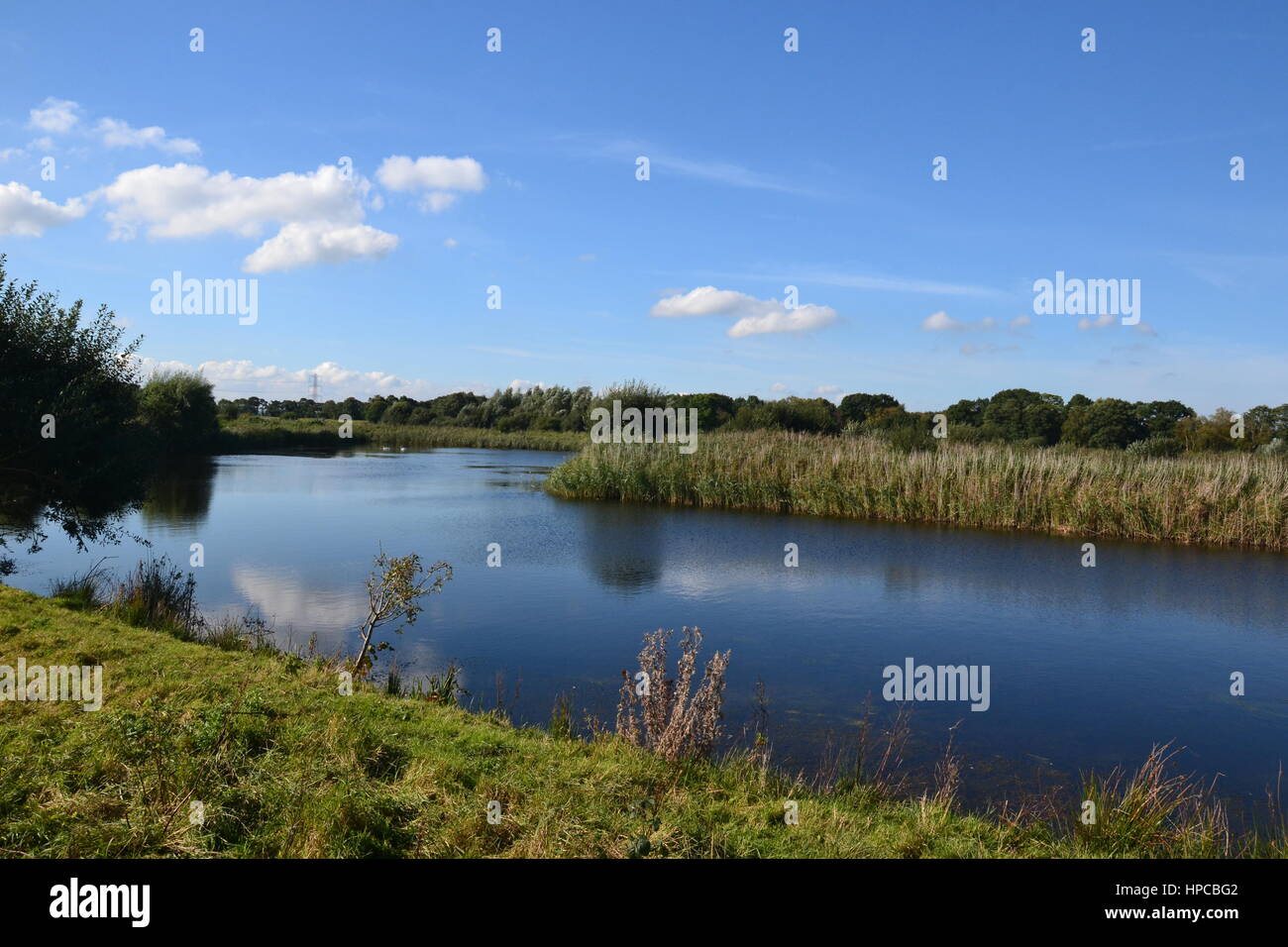 Waterside view at Westhay Moor National Nature Reserve Stock Photo - Alamy