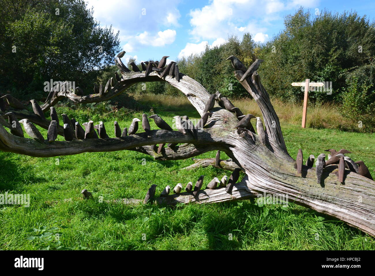 Dead tree sculpture hi-res stock photography and images - Alamy