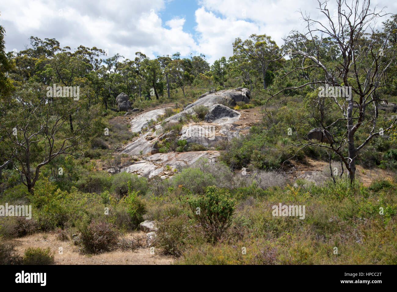 John forrest hi-res stock photography and images - Alamy