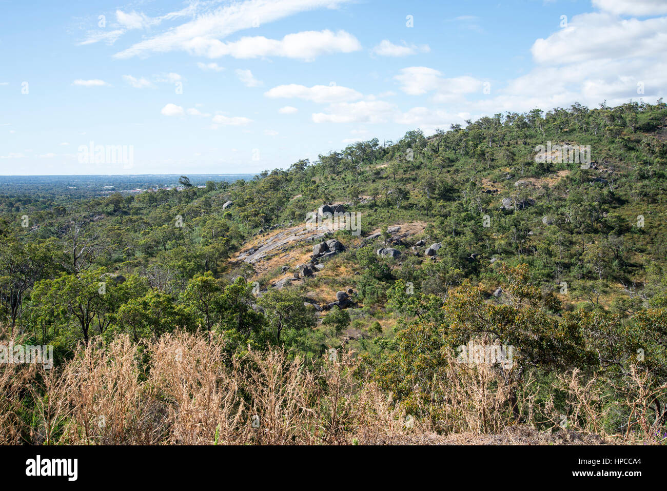 John forest national park hi-res stock photography and images - Alamy