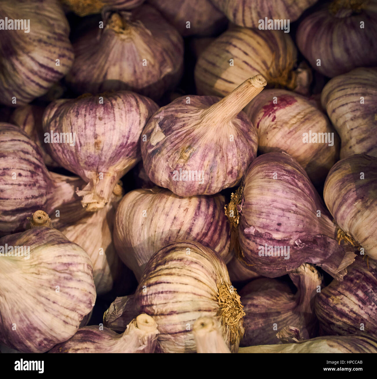 Spanish garlic bulbs Stock Photo - Alamy