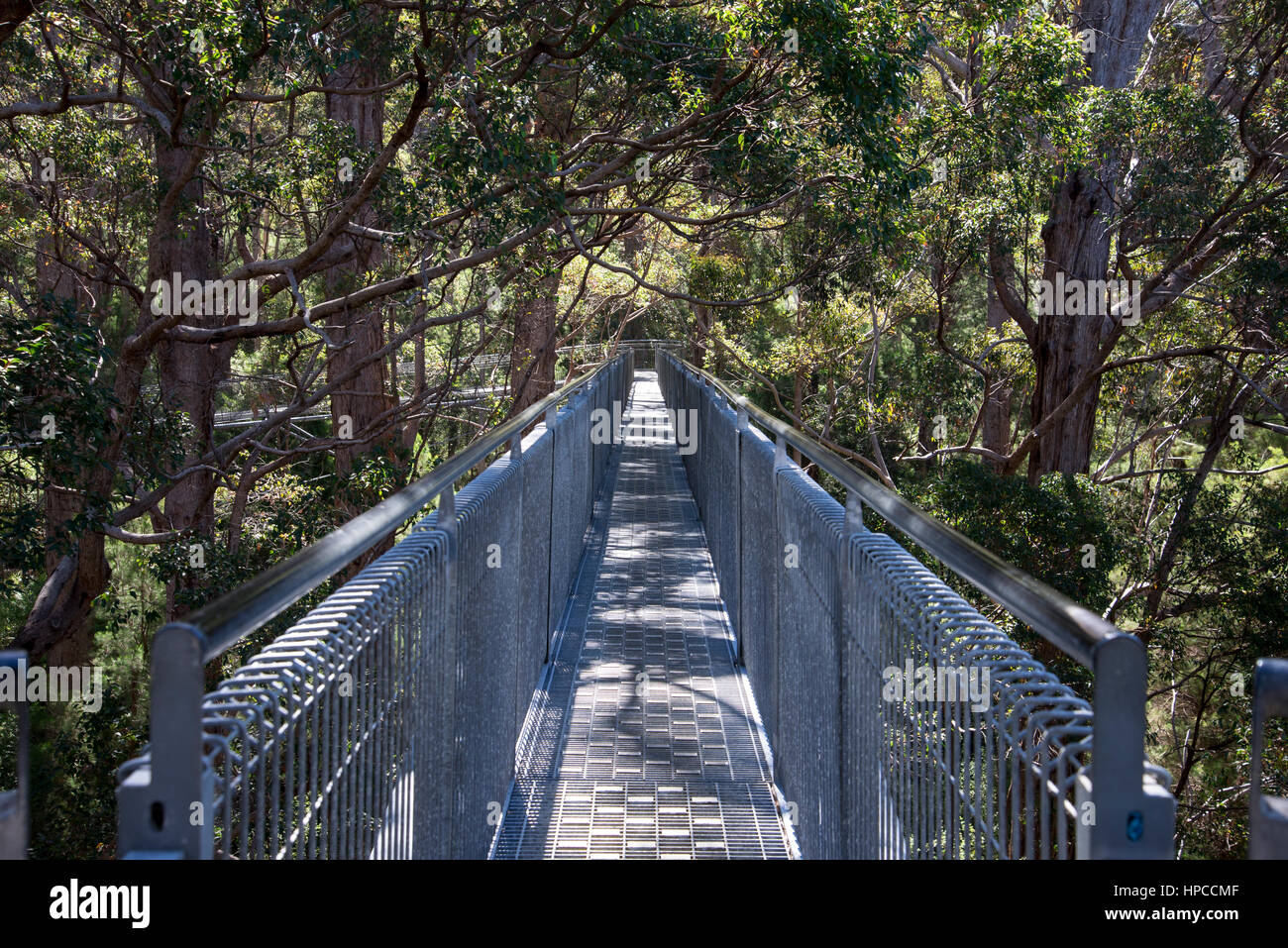 Tree top walk australia western hi-res stock photography and images - Alamy