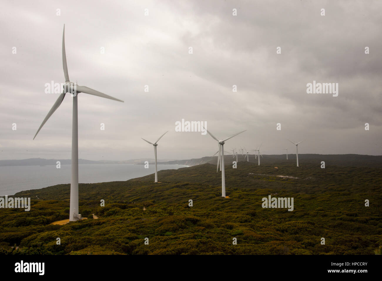 Wind farm albany hi-res stock photography and images - Alamy