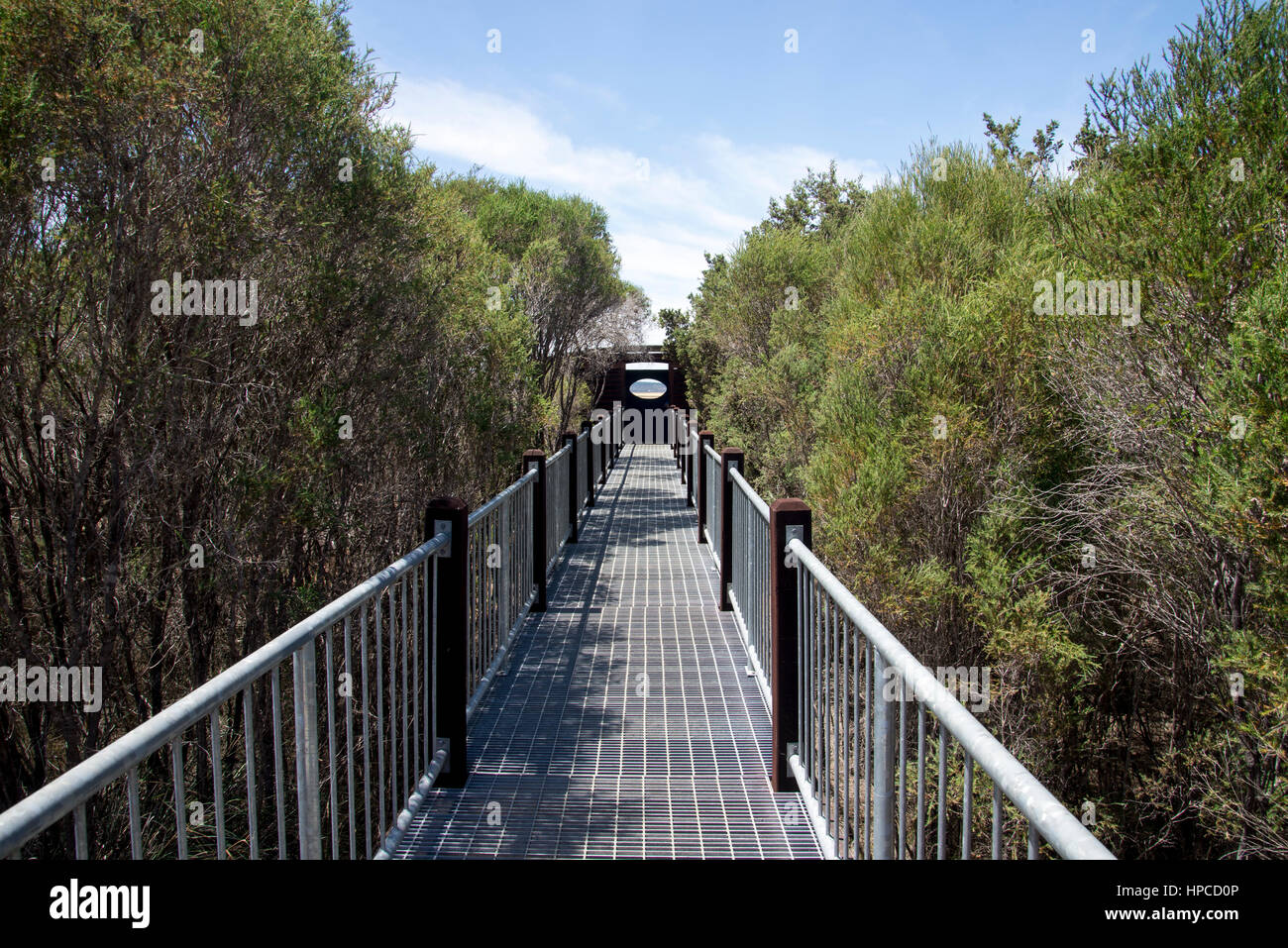 Boardwalk bridge lake muir lookout hi-res stock photography and images ...