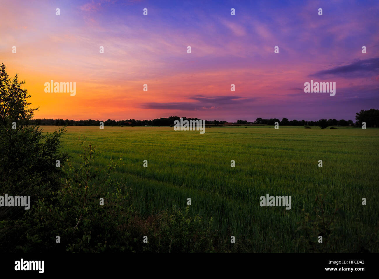 Northwestern germany hi-res stock photography and images - Alamy
