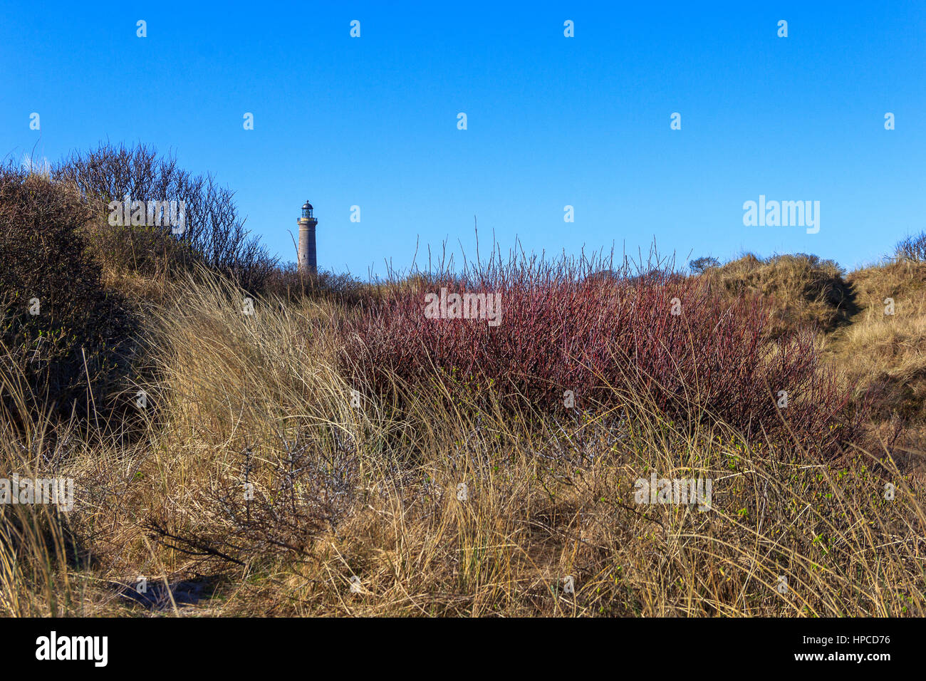 The lighthouse of Skagen, denmarks northernmost town Stock Photo - Alamy
