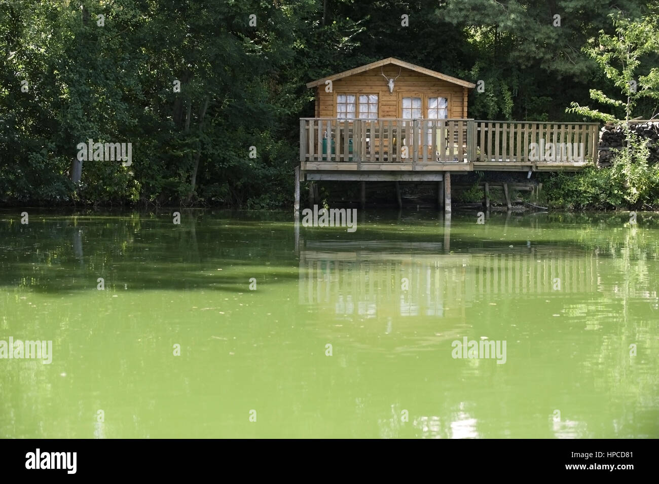 Holzhuette am Teich - wood house at pondside Stock Photo - Alamy