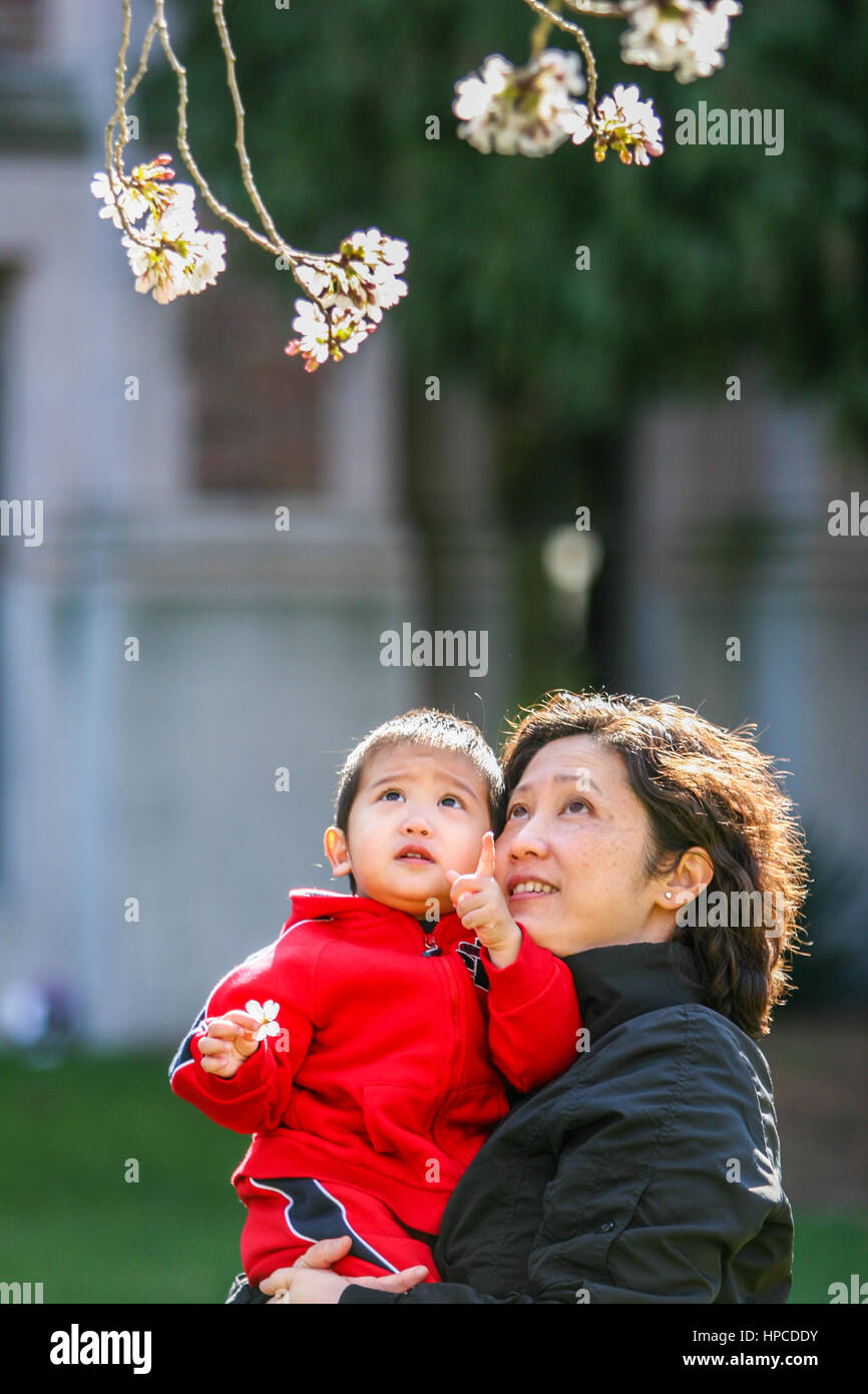 A mother and toddler looking at spring flowers Stock Photo - Alamy