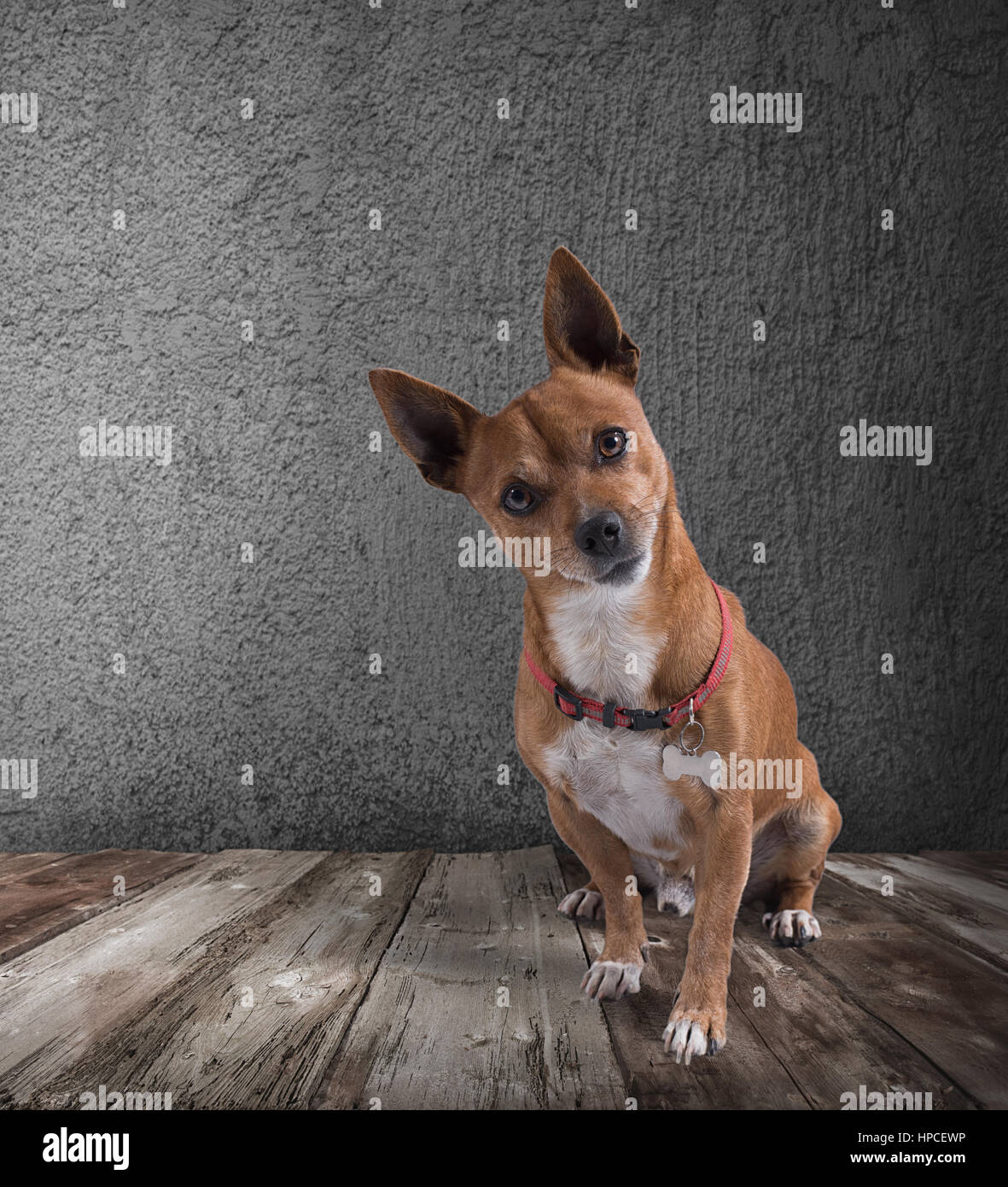 Quizzical expression hi-res stock photography and images - Alamy