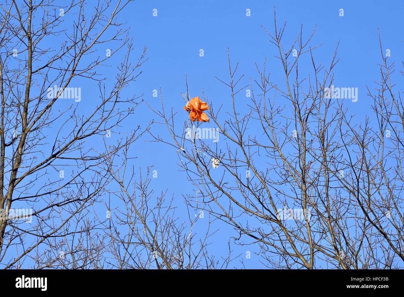 Trash in the environment hi-res stock photography and images - Alamy