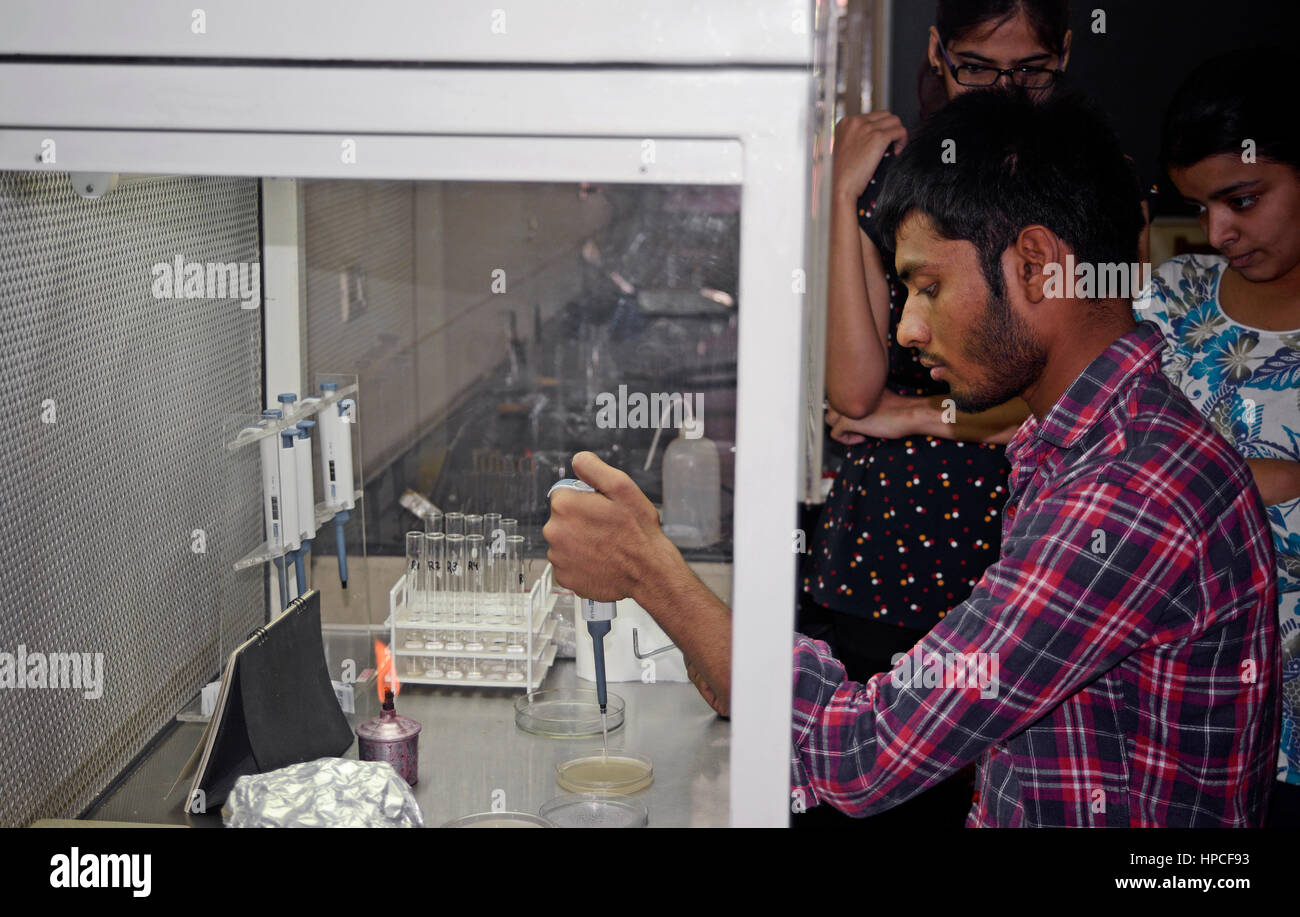 Life science student researching in the laboratory Stock Photo - Alamy