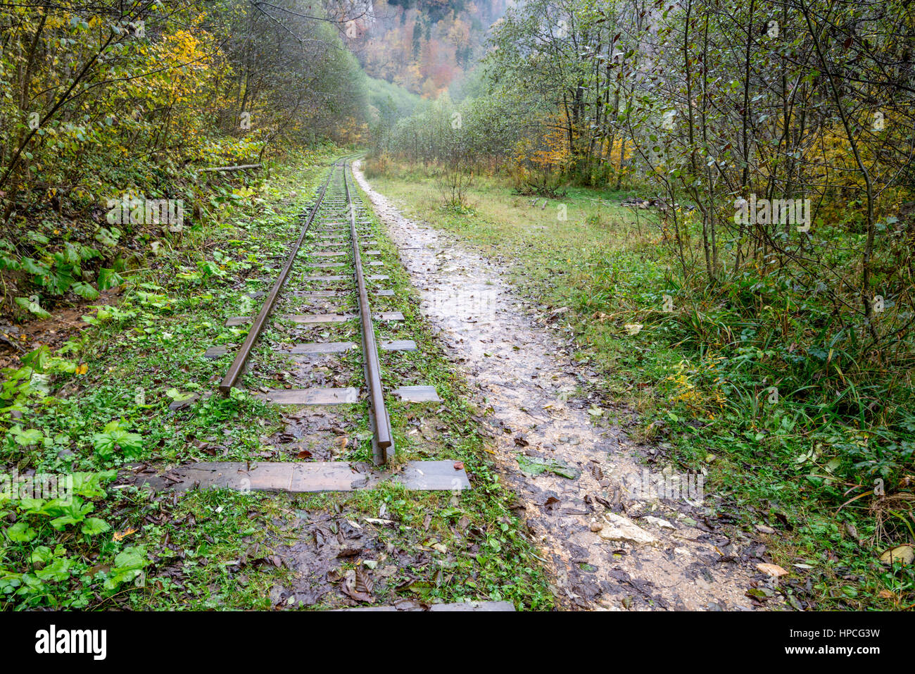 Stone mountain park scenic railroad hi-res stock photography and images ...