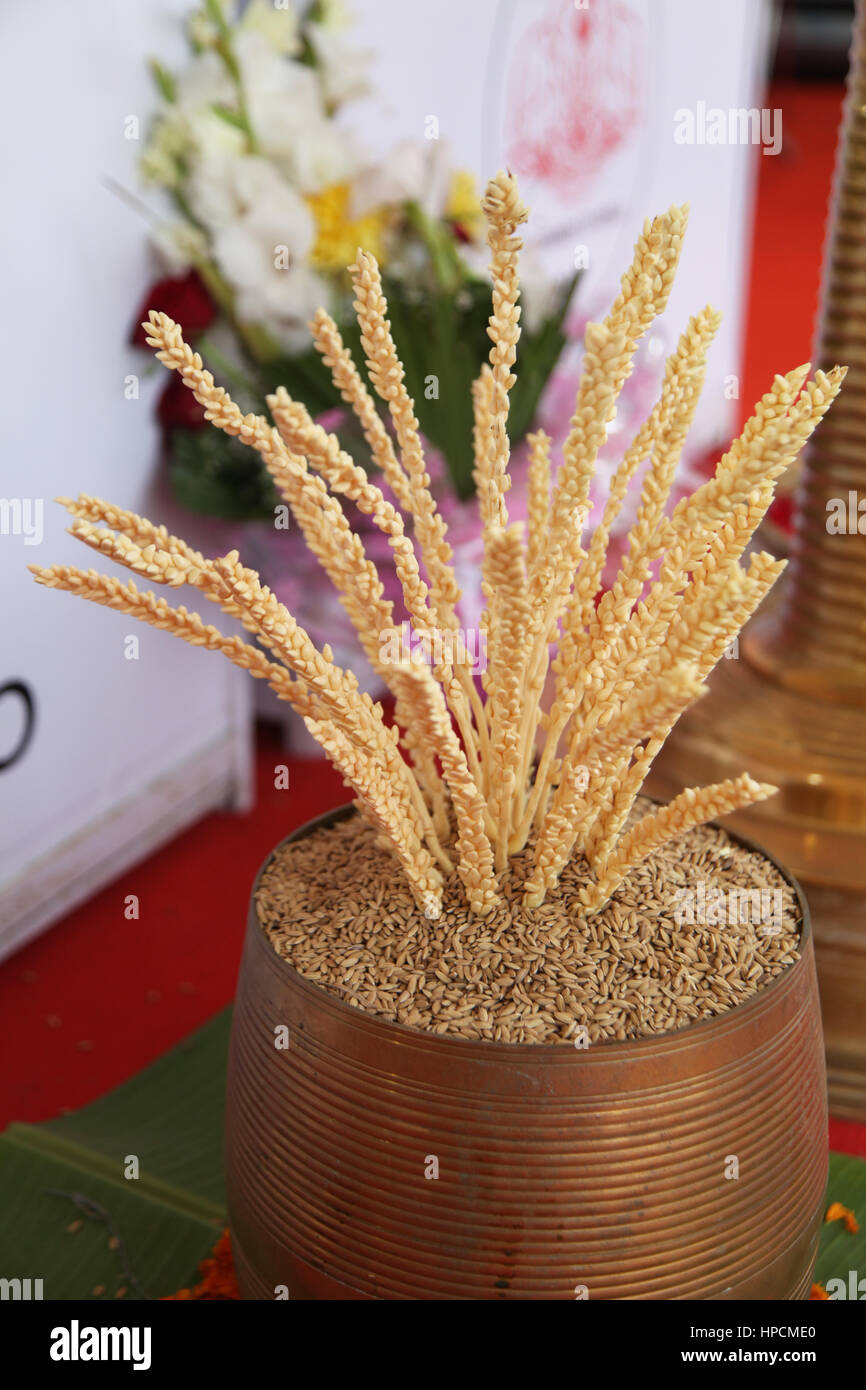 Nirapara hi-res stock photography and images - Alamy