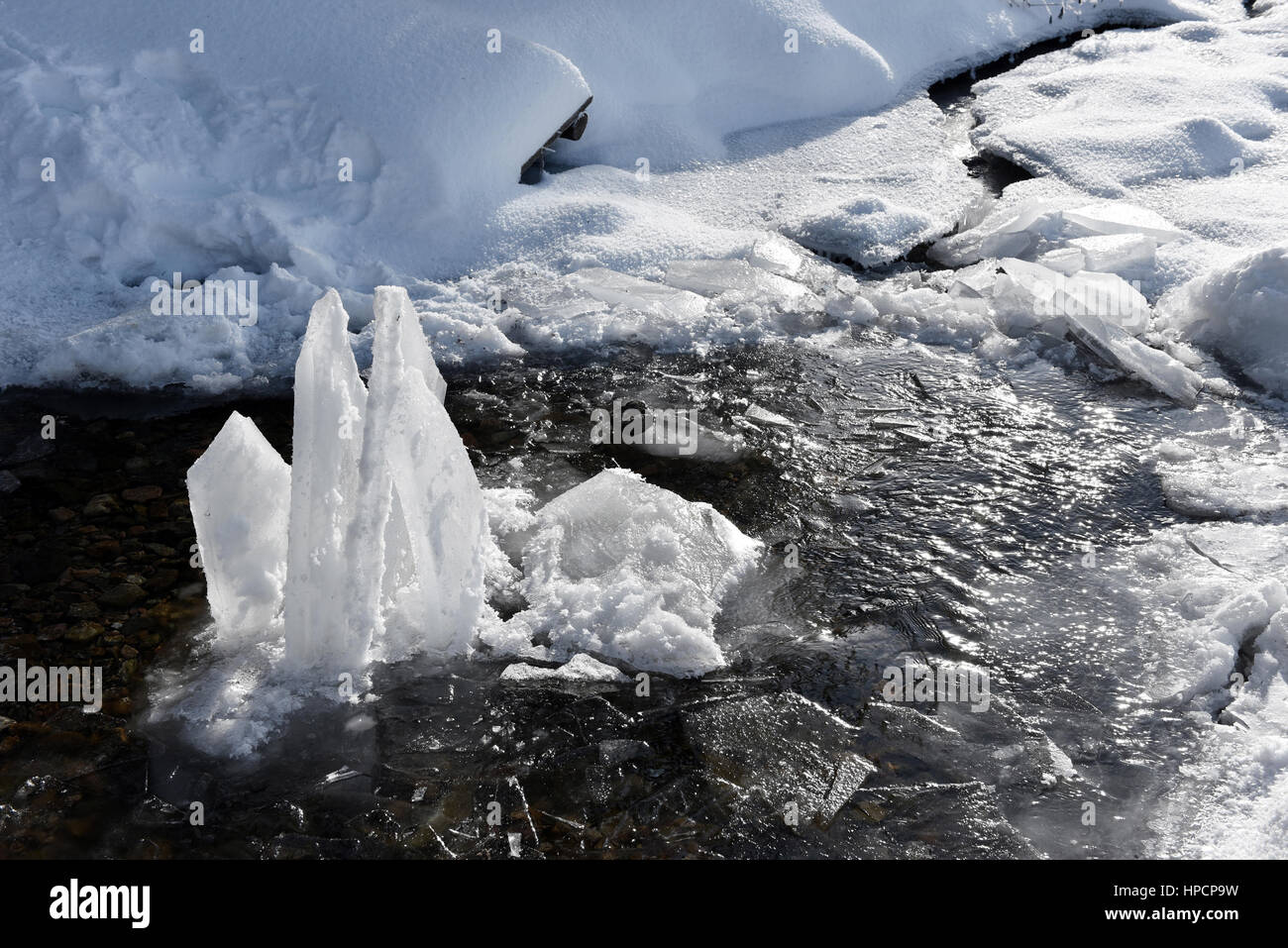 Frozen ice crystals among a small river at winter Stock Photo - Alamy