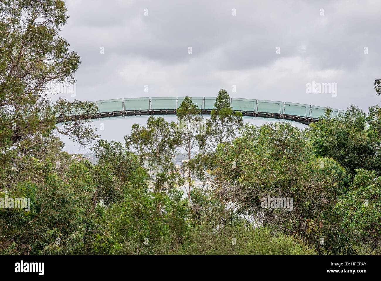 A view of an observation walking bridge in Kings Park and Botanical ...