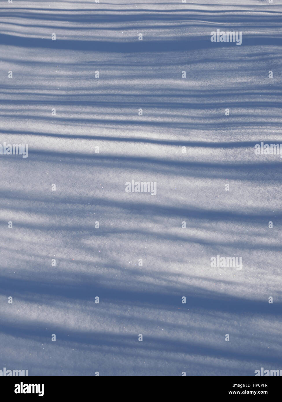 Forest Shadows on Snow Stock Photo - Alamy