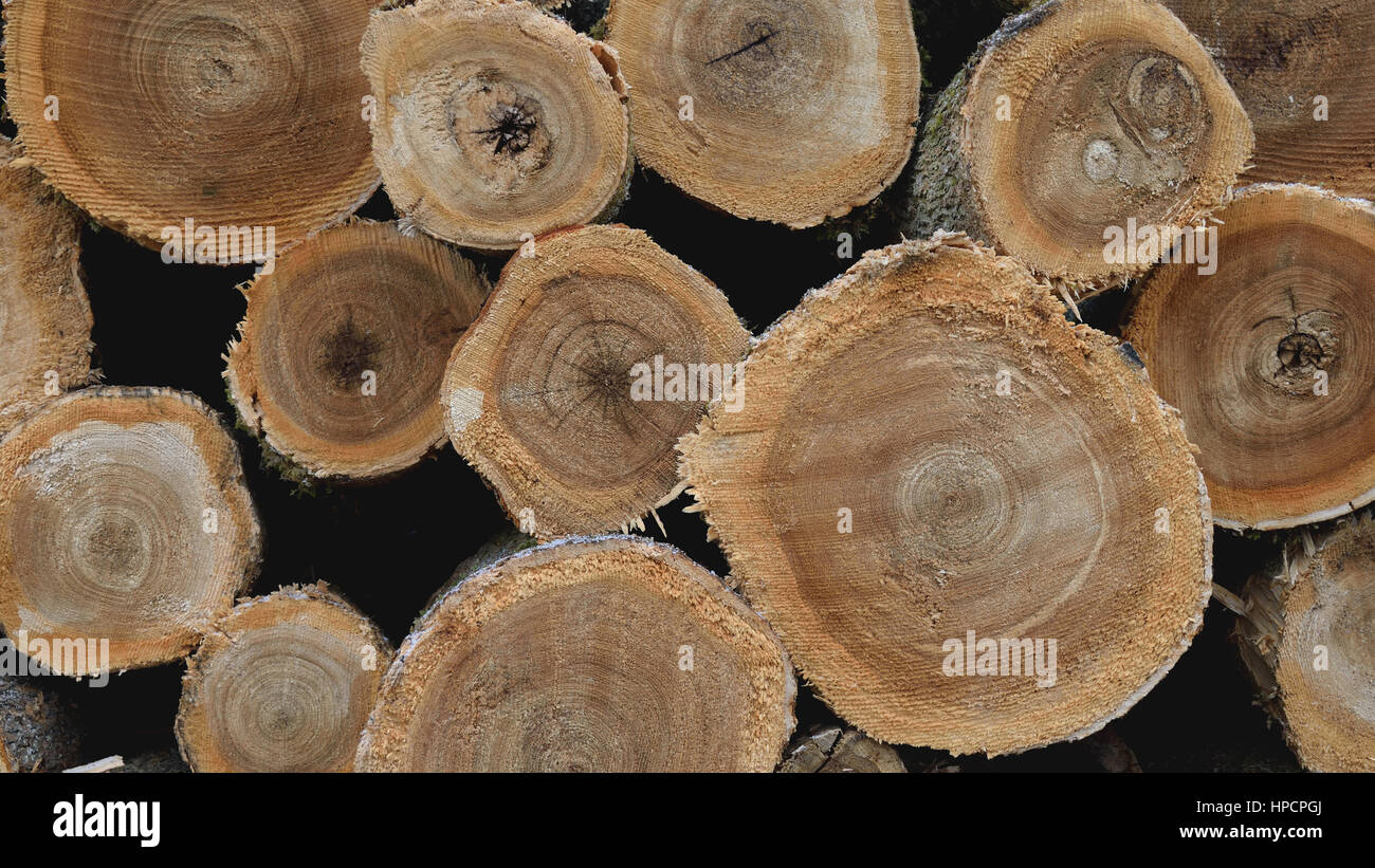 Closeup of Black Ash Logs Stock Photo - Alamy
