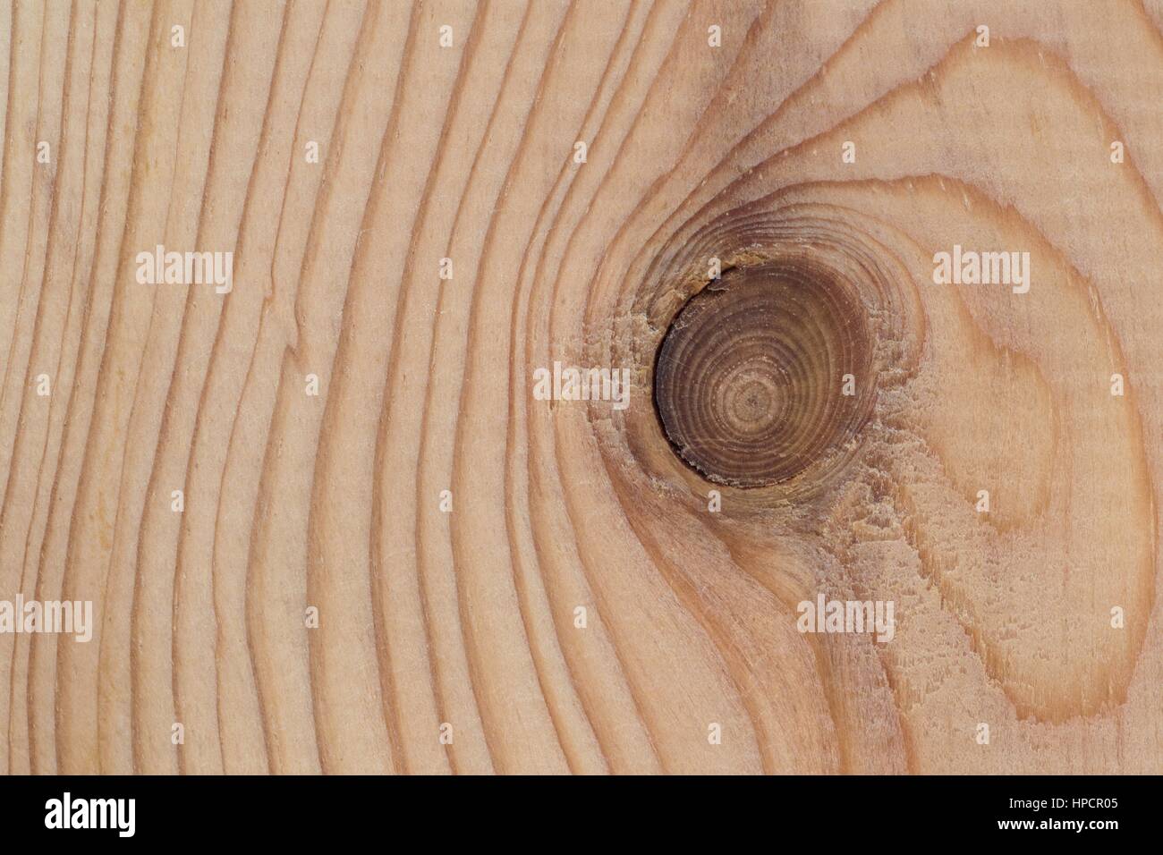 Knotty pine hi-res stock photography and images - Alamy