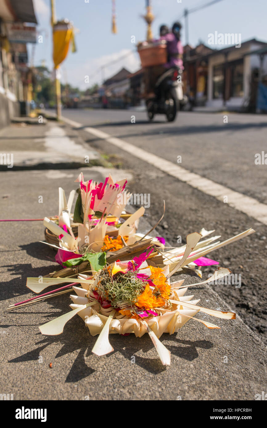 Traditional offerings to gods in Bali with flowers, food and aroma ...