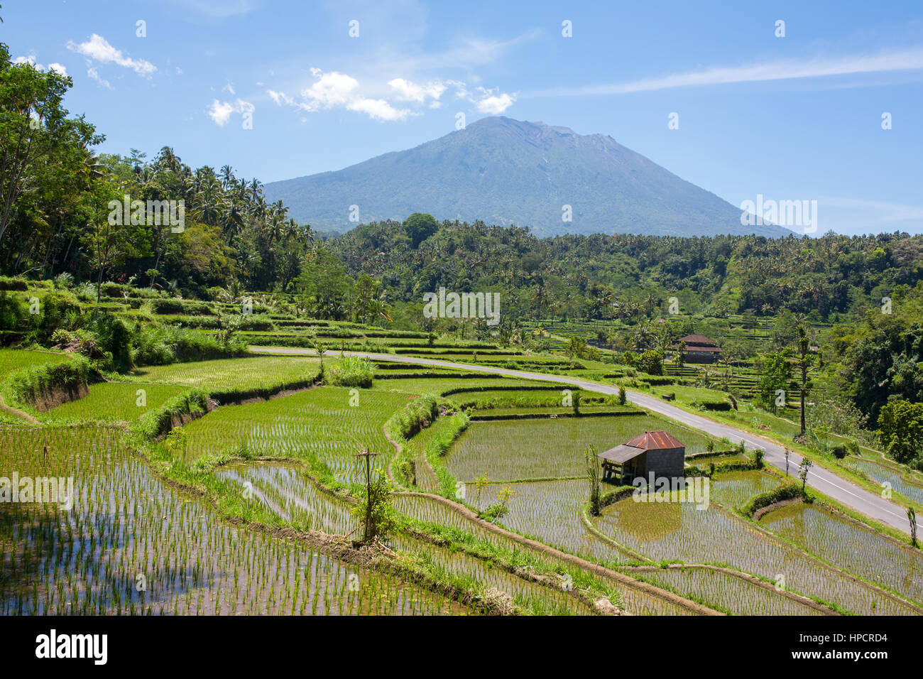 Terrace rice hi-res stock photography and images - Alamy