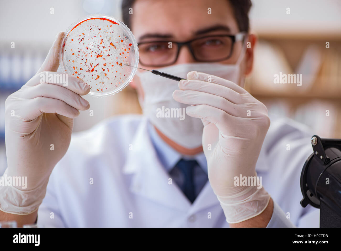 Doctor studying virus bacteria in the lab Stock Photo - Alamy