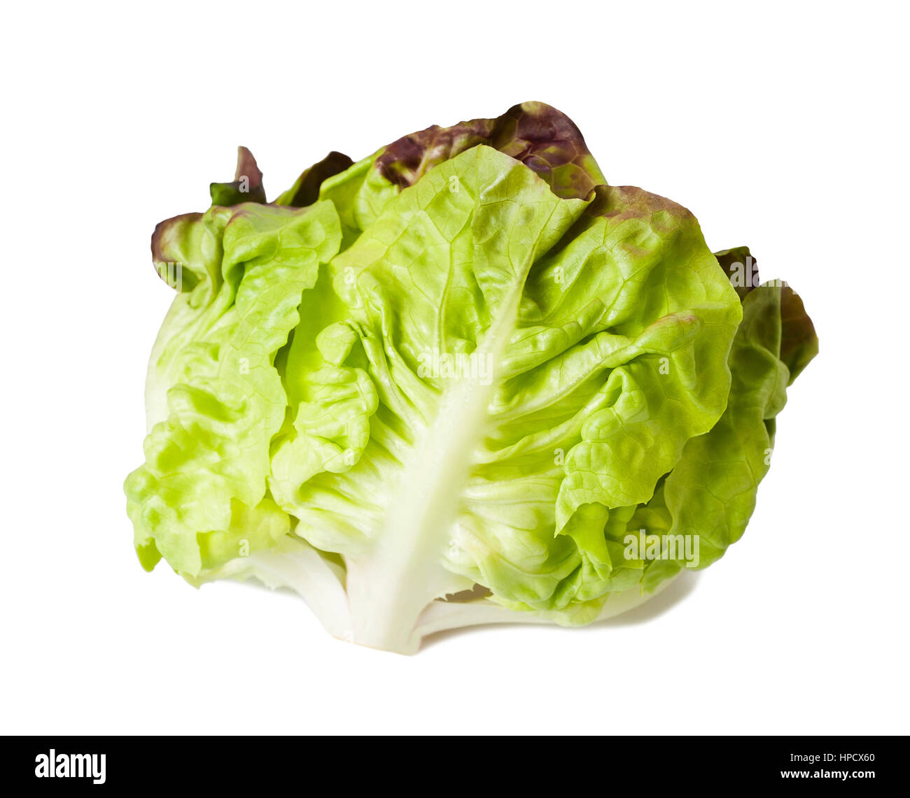 Lettuce cap Cut Out Stock Images & Pictures - Alamy