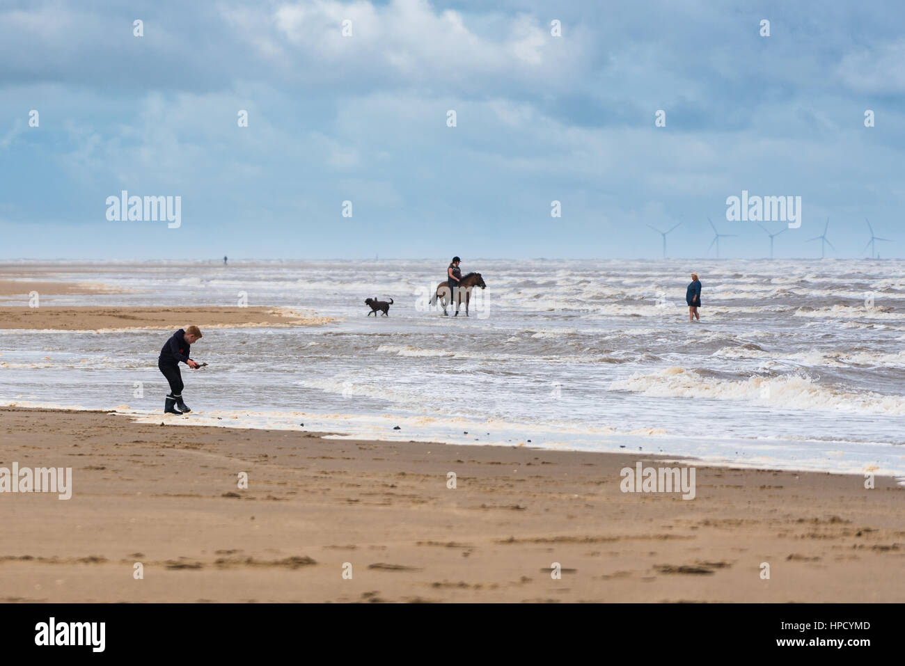 Wellies dog hi-res stock photography and images - Alamy