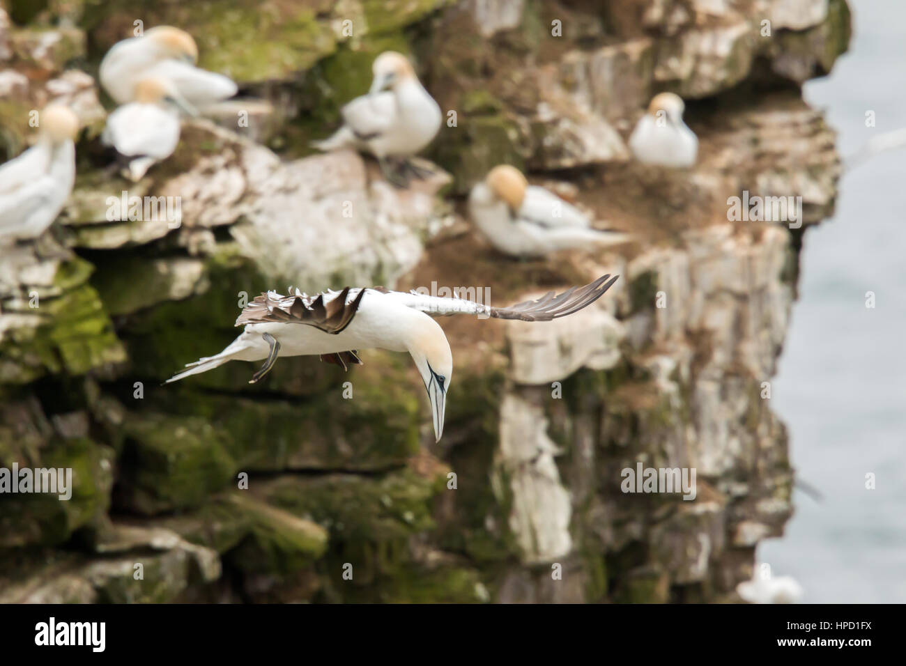 Troup head scotland hi-res stock photography and images - Alamy