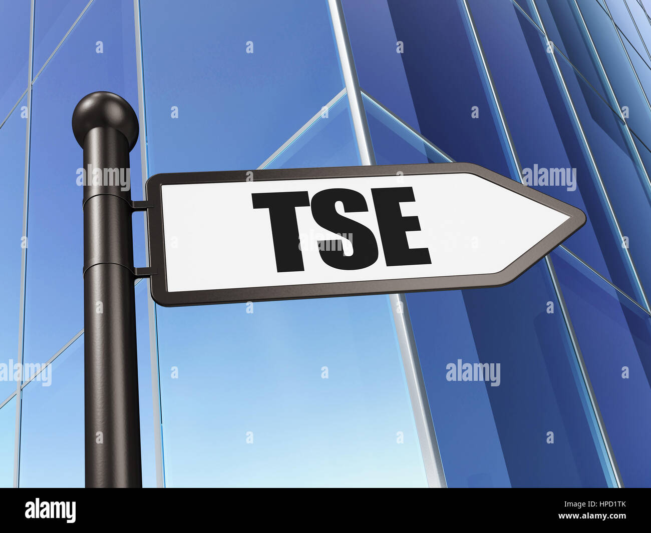 Stock market indexes concept: sign TSE on Building background, 3D ...