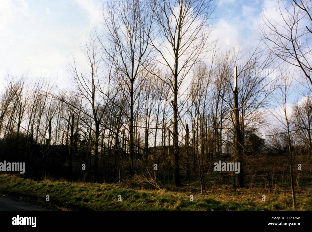 1987 great storm hi-res stock photography and images - Alamy