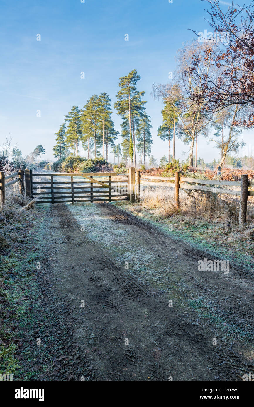 Lavington park hi-res stock photography and images - Alamy