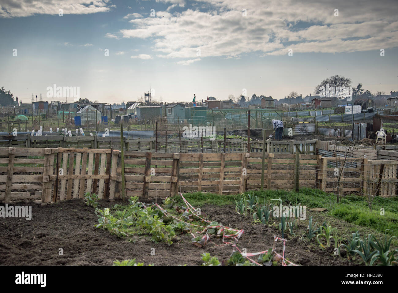 Allotment community hi-res stock photography and images - Alamy