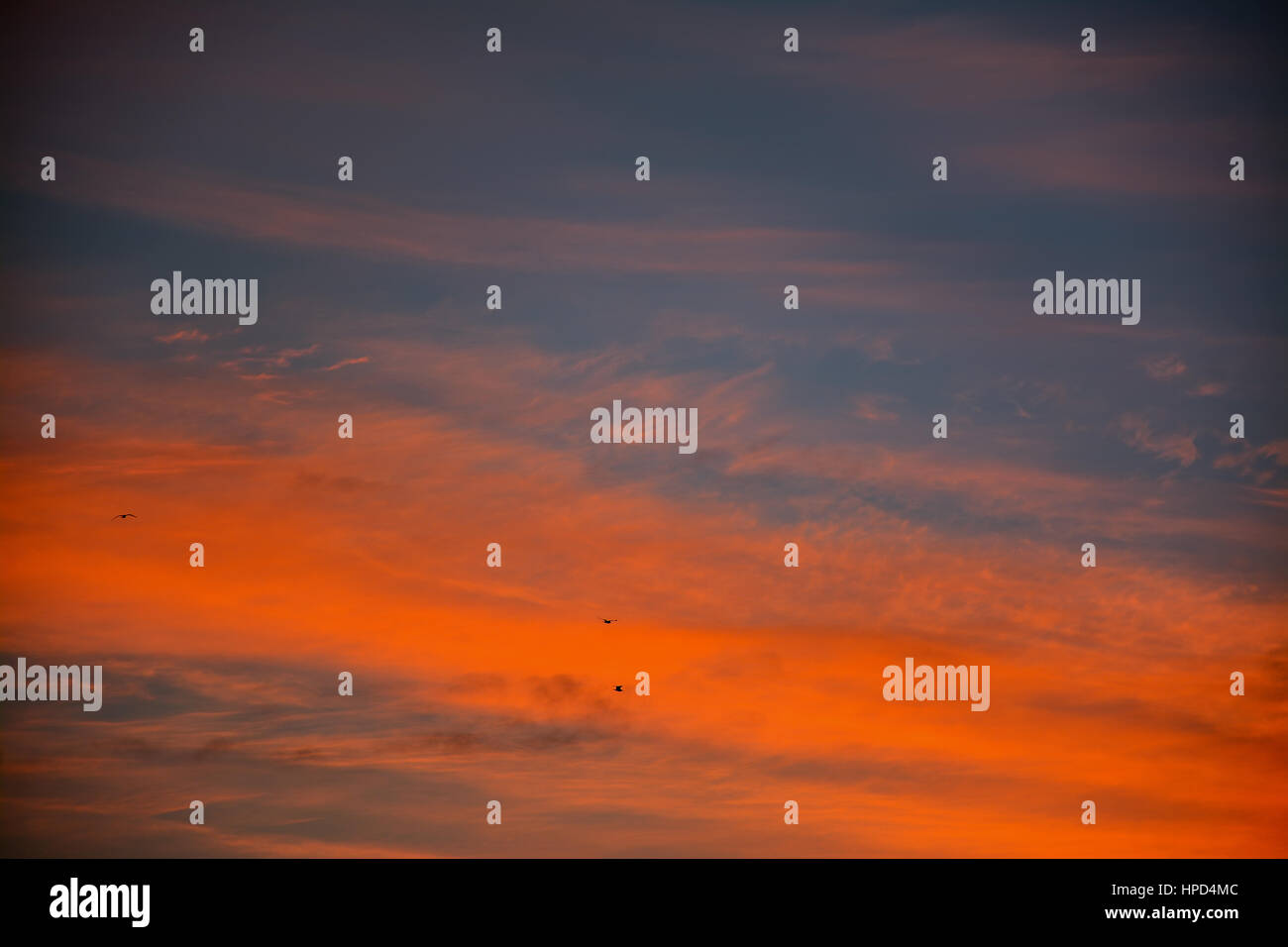 Multi-colored clouds autumn morning Stock Photo - Alamy