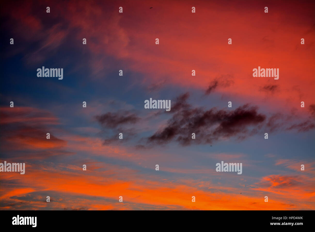 Multi-colored clouds autumn morning Stock Photo - Alamy