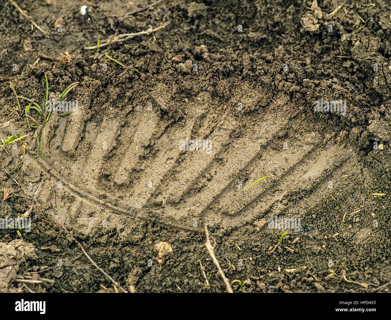 A clear boot print in the mud Stock Photo - Alamy