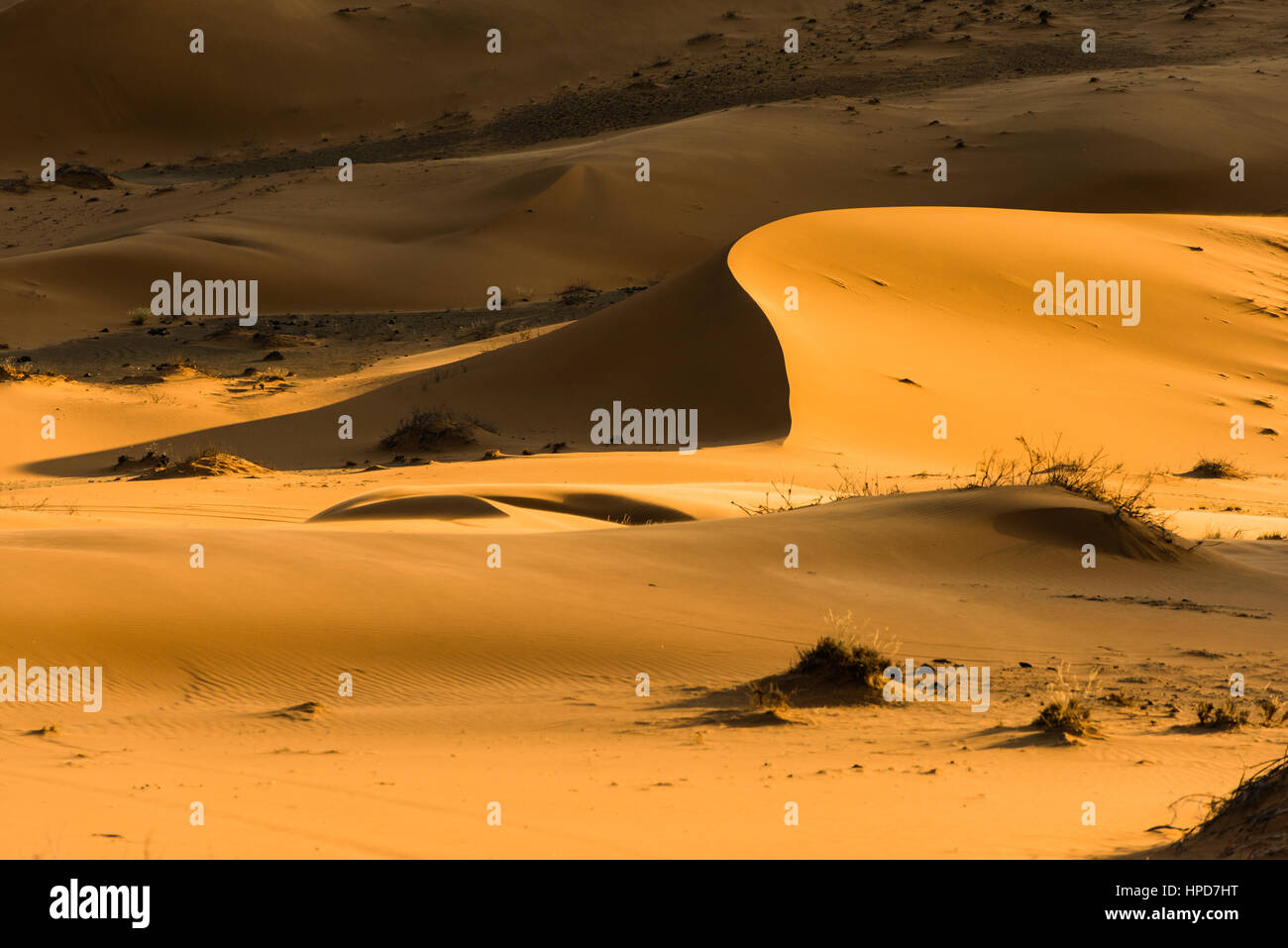 Sand Dunes, Northern Namibia Stock Photo - Alamy