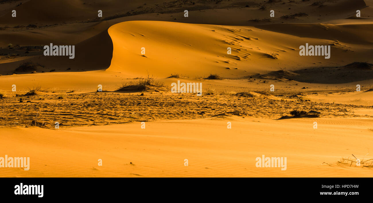 Sand Dunes, Northern Namibia Stock Photo - Alamy
