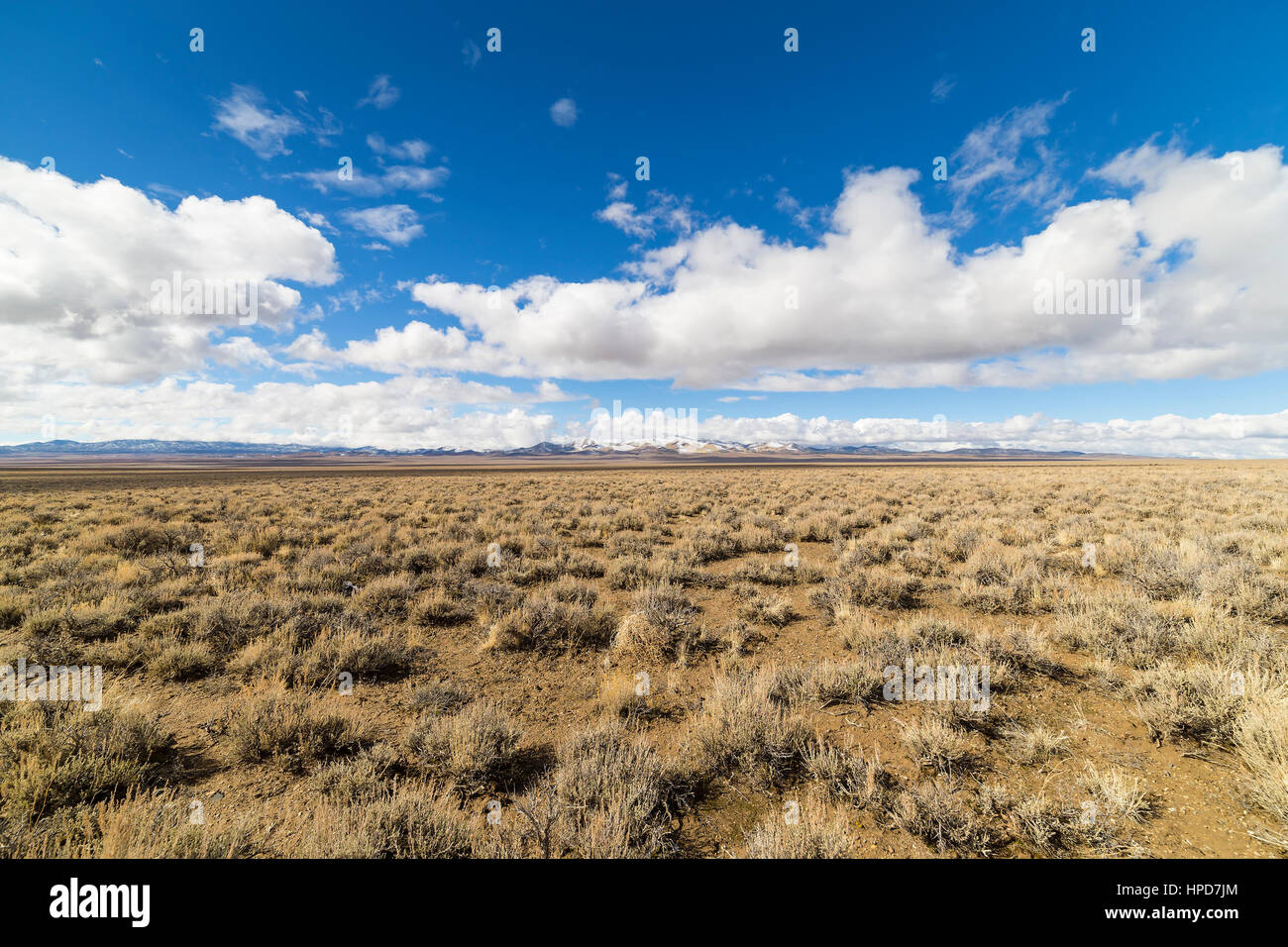 Wide open empty desert landscape in Nevada during winter with blue ...