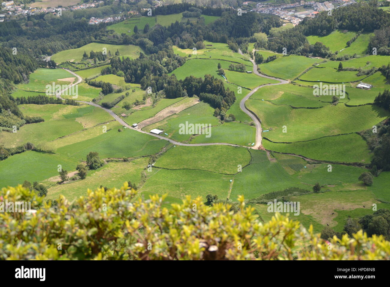 Colorful nature of Sao Miguel island, Portugal. Lifht green meadows ...
