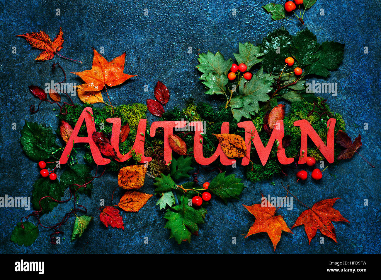 Autumn lettering with leaves and acorns on a dark marble background ...
