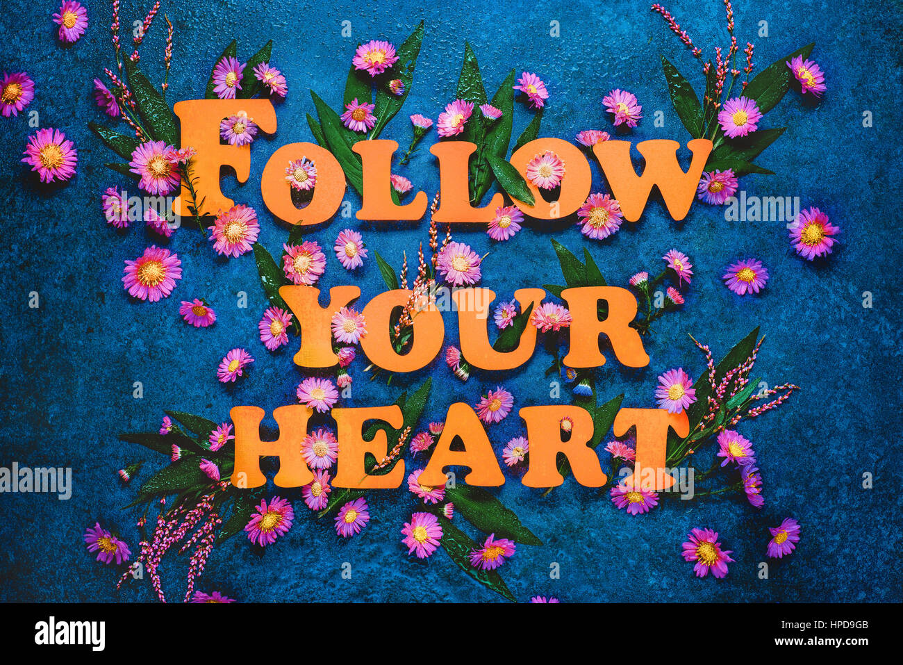Follow Your Heart lettering with white purple flowers and leaves on a ...